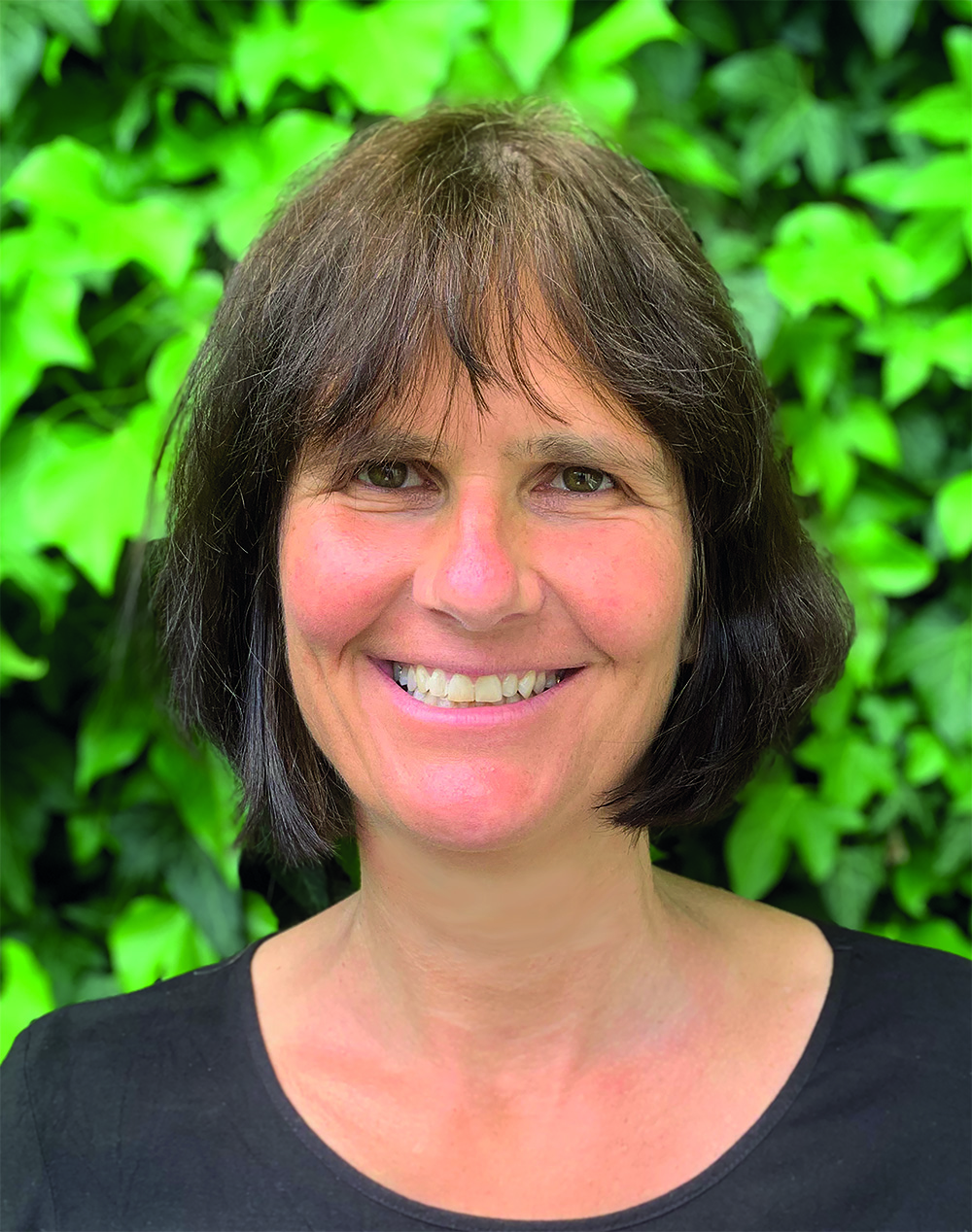 Vorstand – 1. FC Lauchhau-Lauchäcker 04